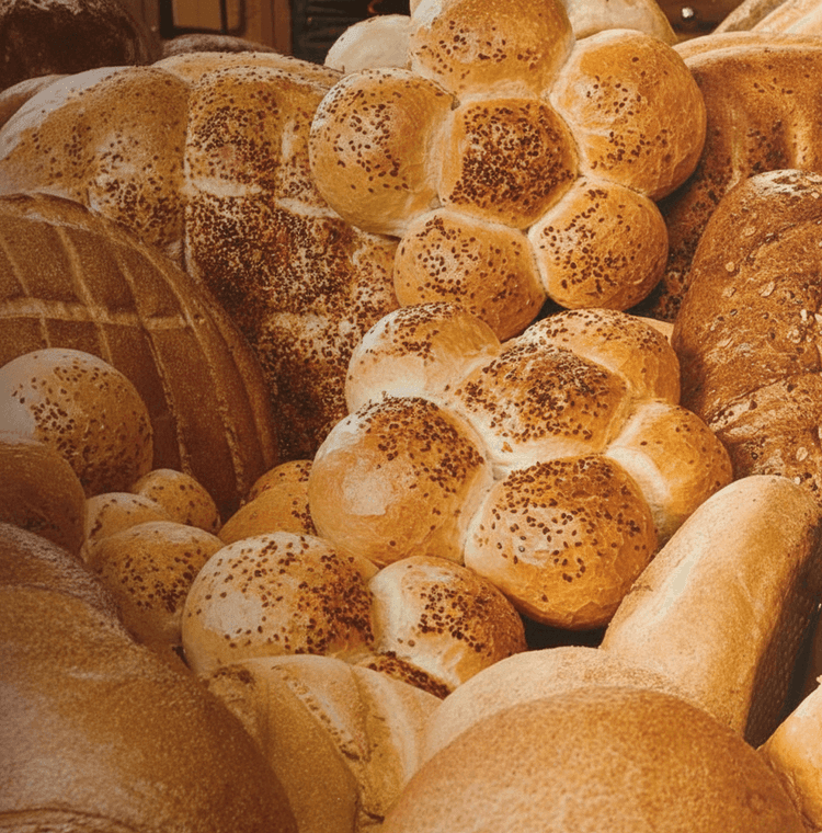 Home - Balkan Bakeri